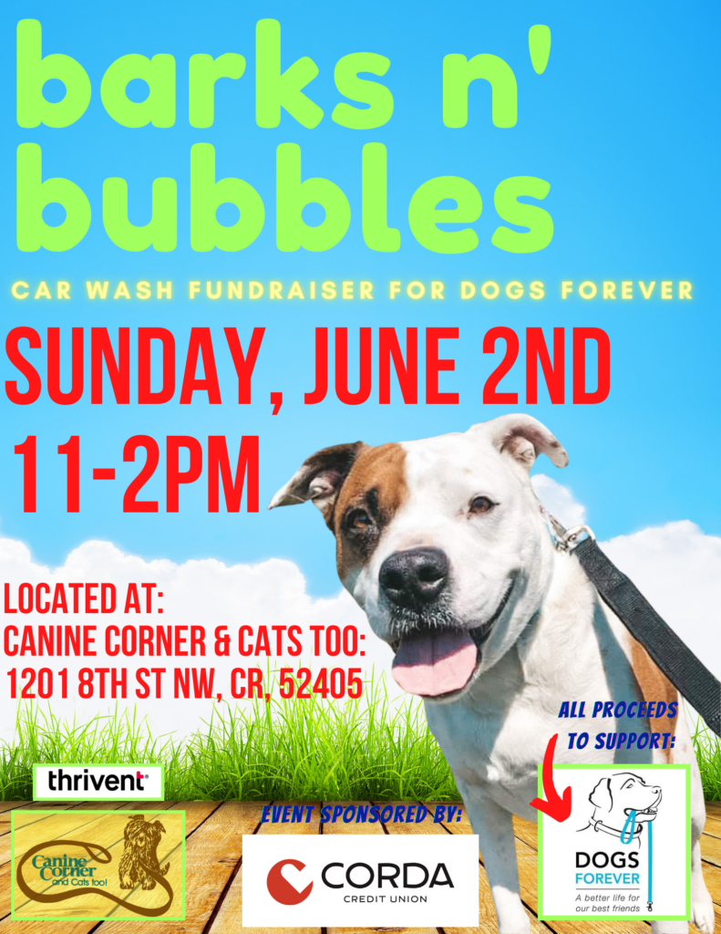 2024 Arc March - Greater Cedar Rapids Community Foundation